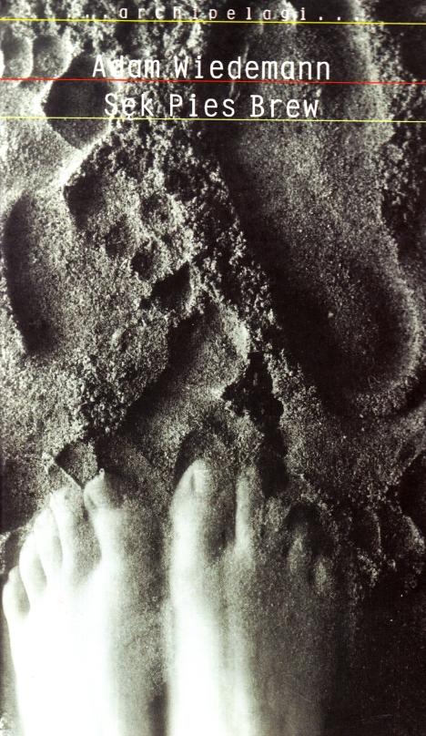 Polnisch poetisch – Gespräch Nr. 4: Adam Wiedemann – buch|bund